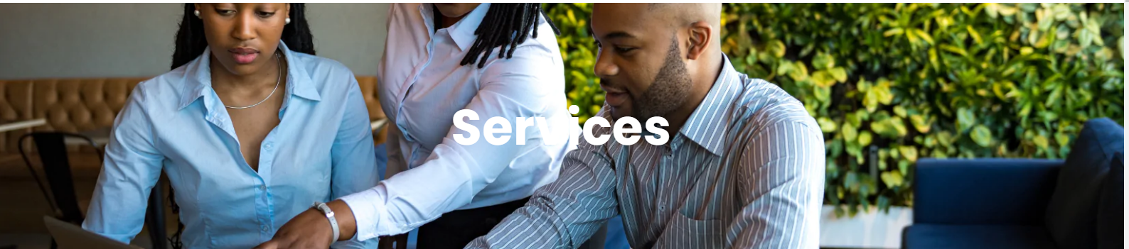 TMG Professional Services Consulting Firm LLC